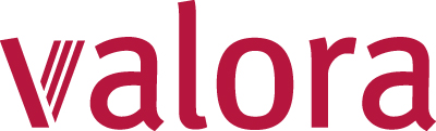BLR Partners — Strategic Advisory & Investment ManagementLovable App